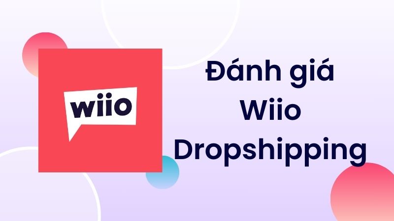Đánh giá Wiio dropshipping: Ưu nhược điểm của mô hình này