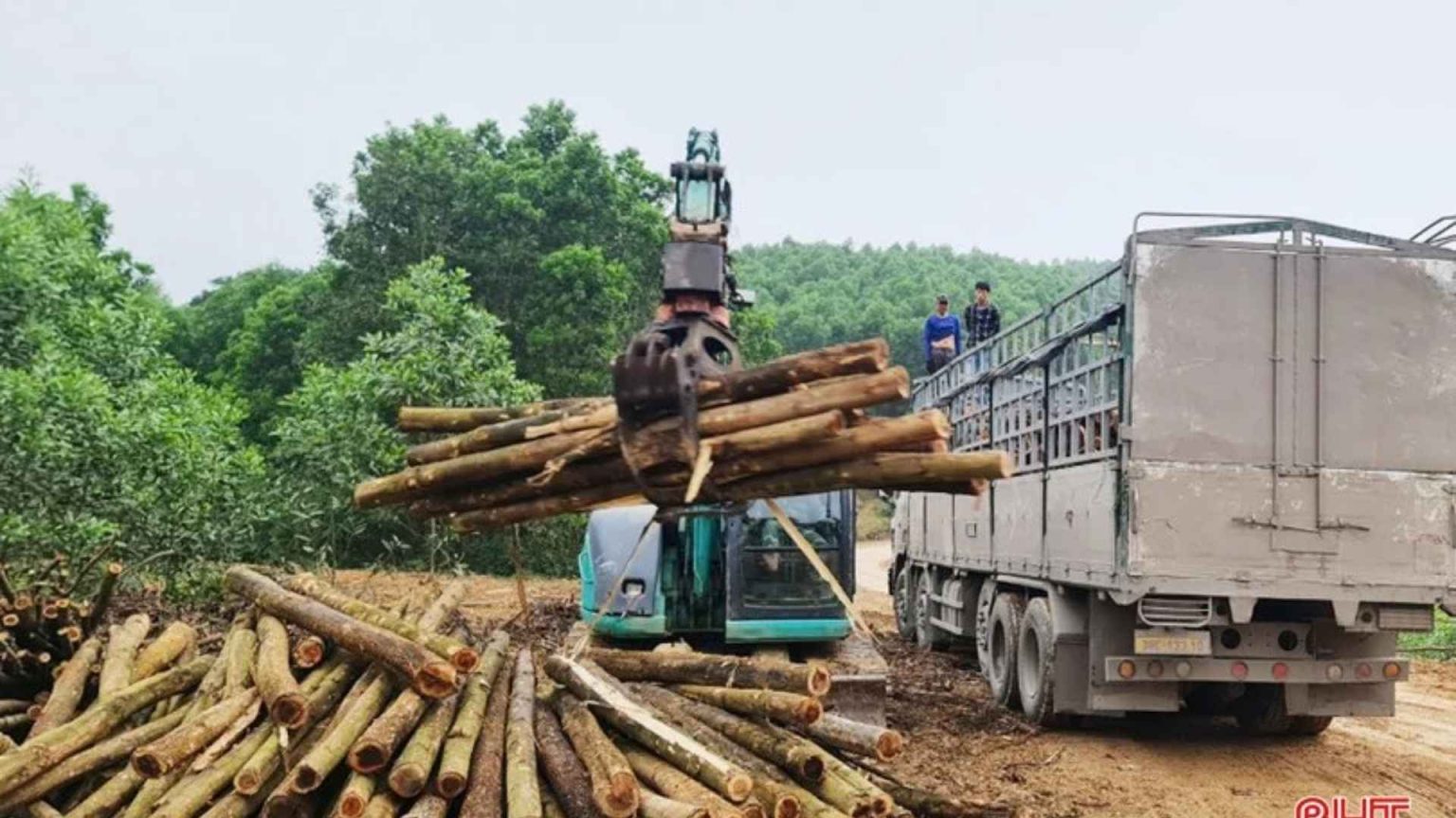 Import Wooden Spoons from Vietnam: Pricing, MOQ, Lead Times