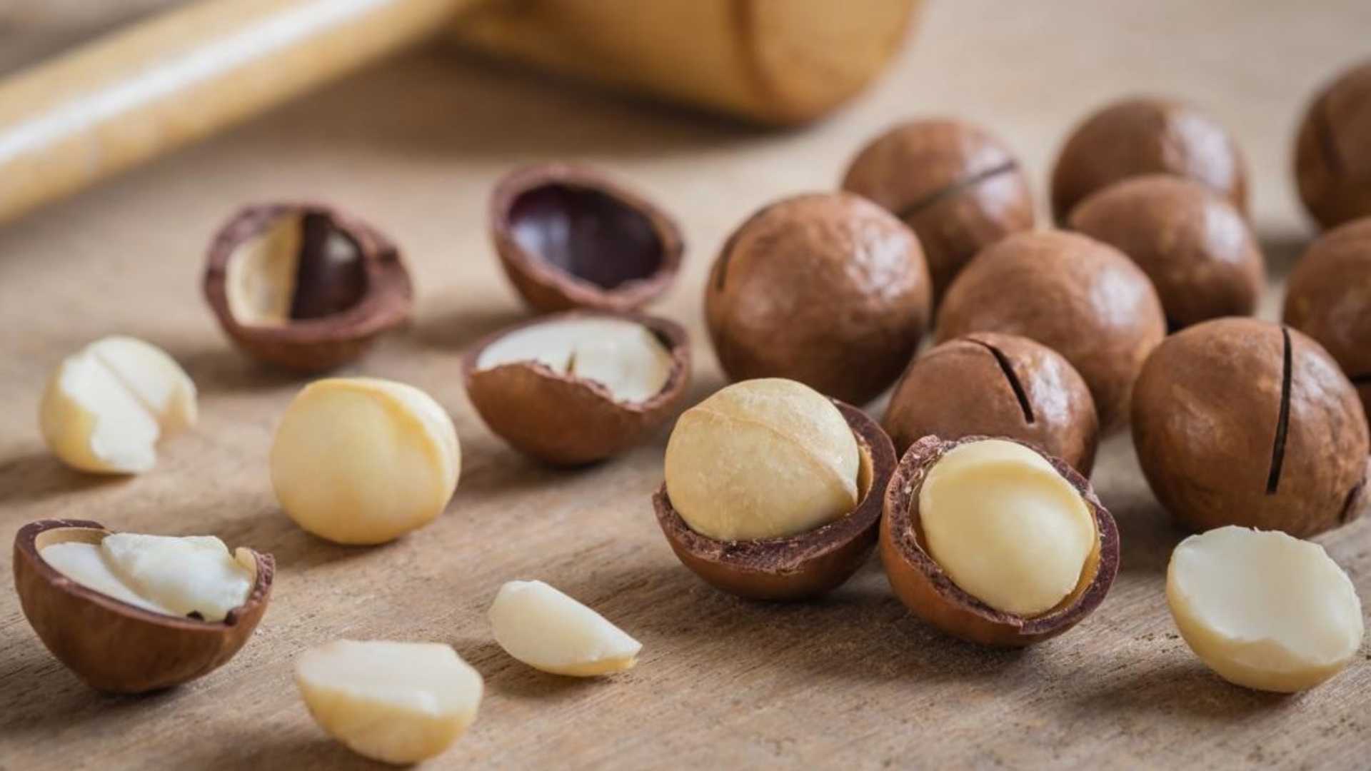 6 Essential Steps to Import Macadamia Nuts from Vietnam