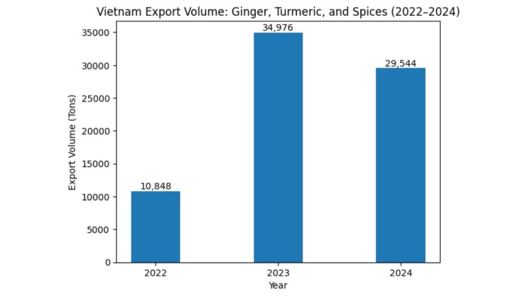 7 Steps to Import Ginger From Vietnam for First-Time Buyers
